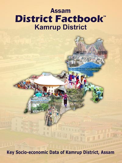 Ebooks & Prints- Indian Socio Economic & Election Analysis Data